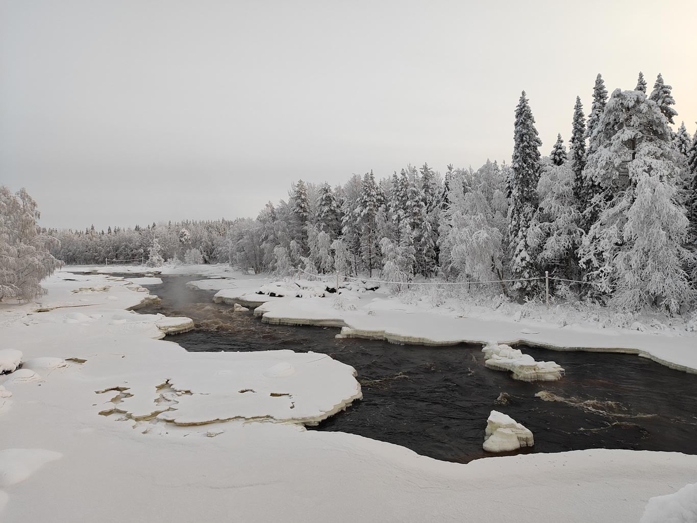 Guía completa para viajar a laponia en navidad 2025 - Pasado Viajado
